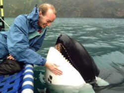 Our Team - The Whale Sanctuary Project | Back to Nature