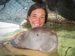Our Team - The Whale Sanctuary Project | Back to Nature