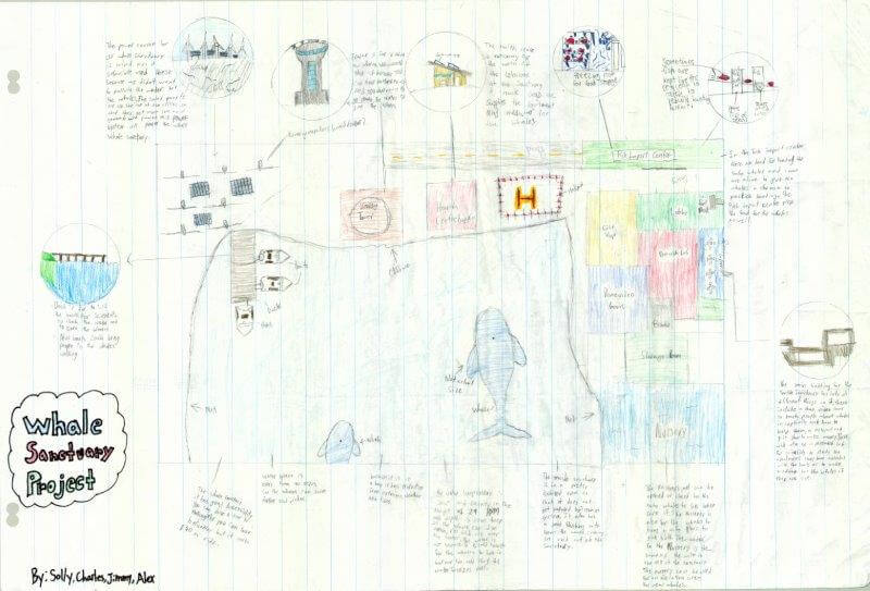 Kids Envisioning a Better Future for Whales - The Whale Sanctuary ...