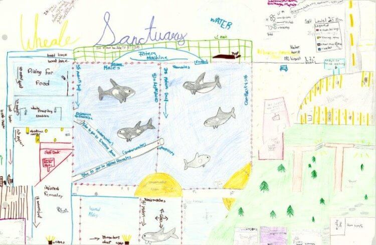 Kids Envisioning a Better Future for Whales - The Whale Sanctuary ...