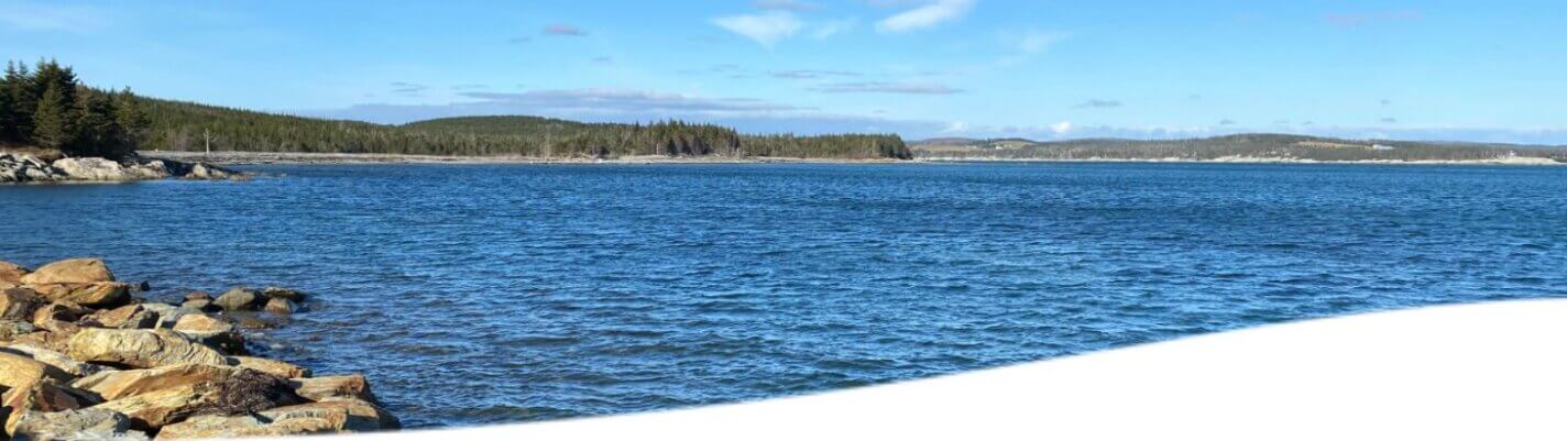 The Sanctuary - The Whale Sanctuary Project | Back to Nature