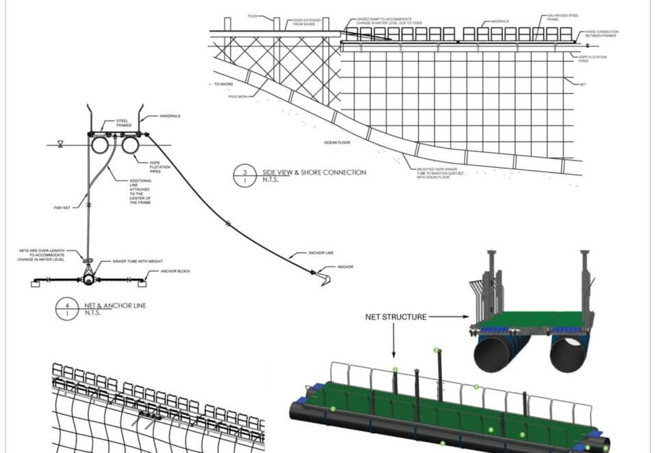 net structure crop - The Whale Sanctuary Project | Back to Nature
