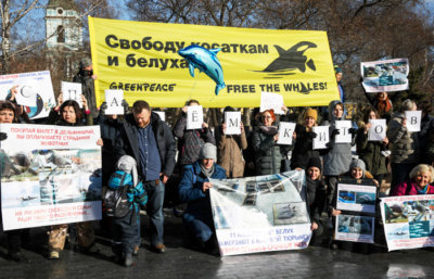 The Whale Jail in Srednyaya Bay - The Whale Sanctuary Project | Back to ...